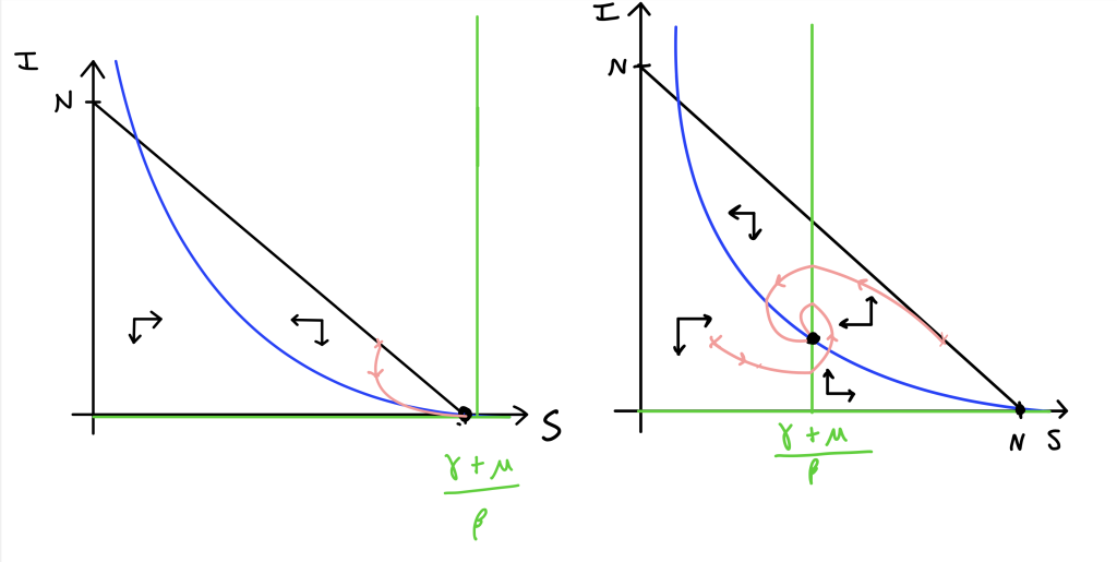 The SIR model with demographics – Introducing Mathematical Biology